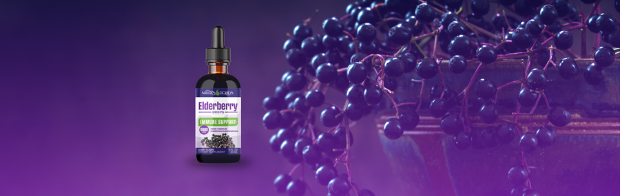 Nature’s Liquids | Premium Drinkable Supplements for Health & Wellness ...